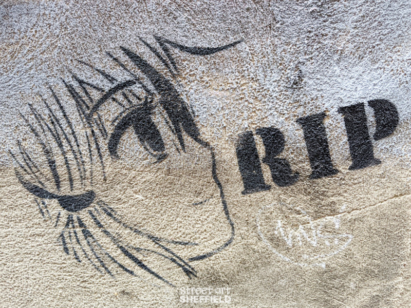 Rip | Street Art Sheffield