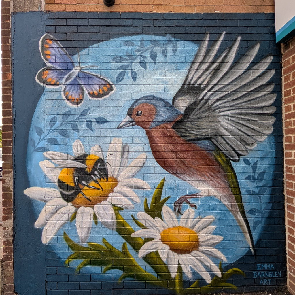 Emma Barnsley, Bocking Lane | Street Art Sheffield
