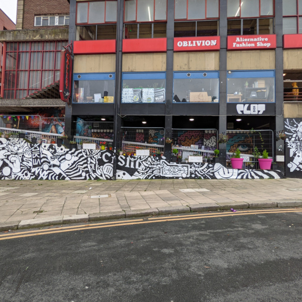 Mila K, Plot 22 | Street Art Sheffield